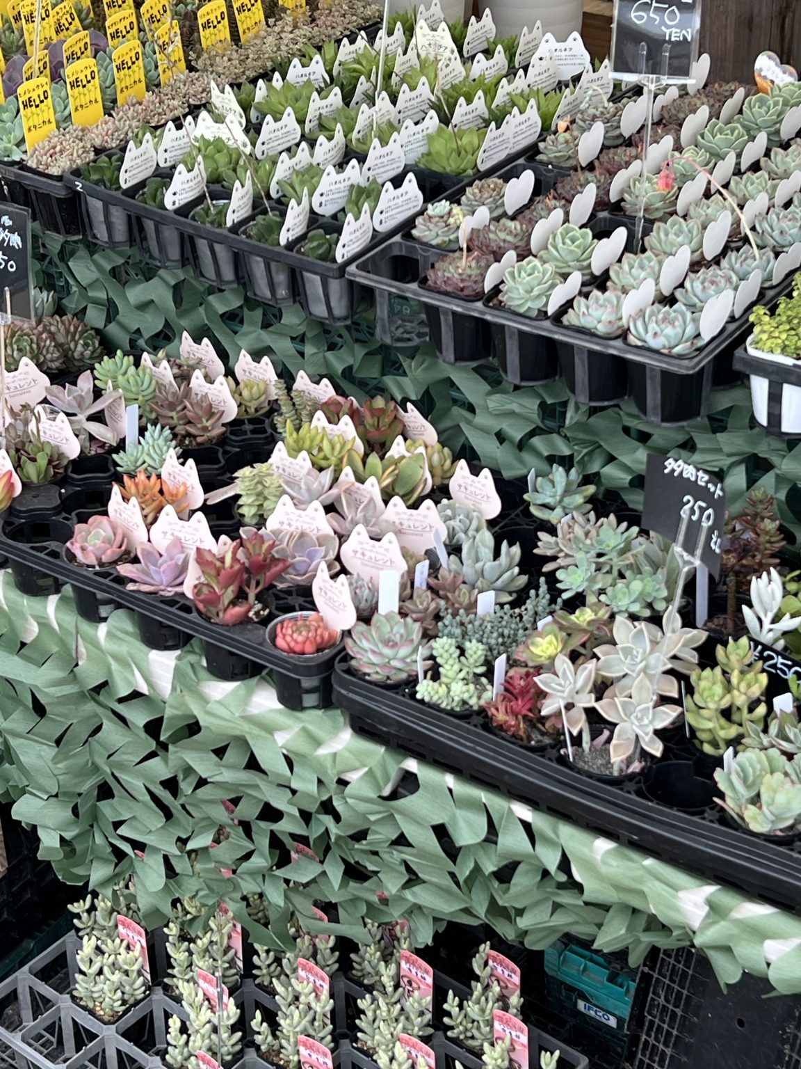 ブース | BOTAFES ボタフェス