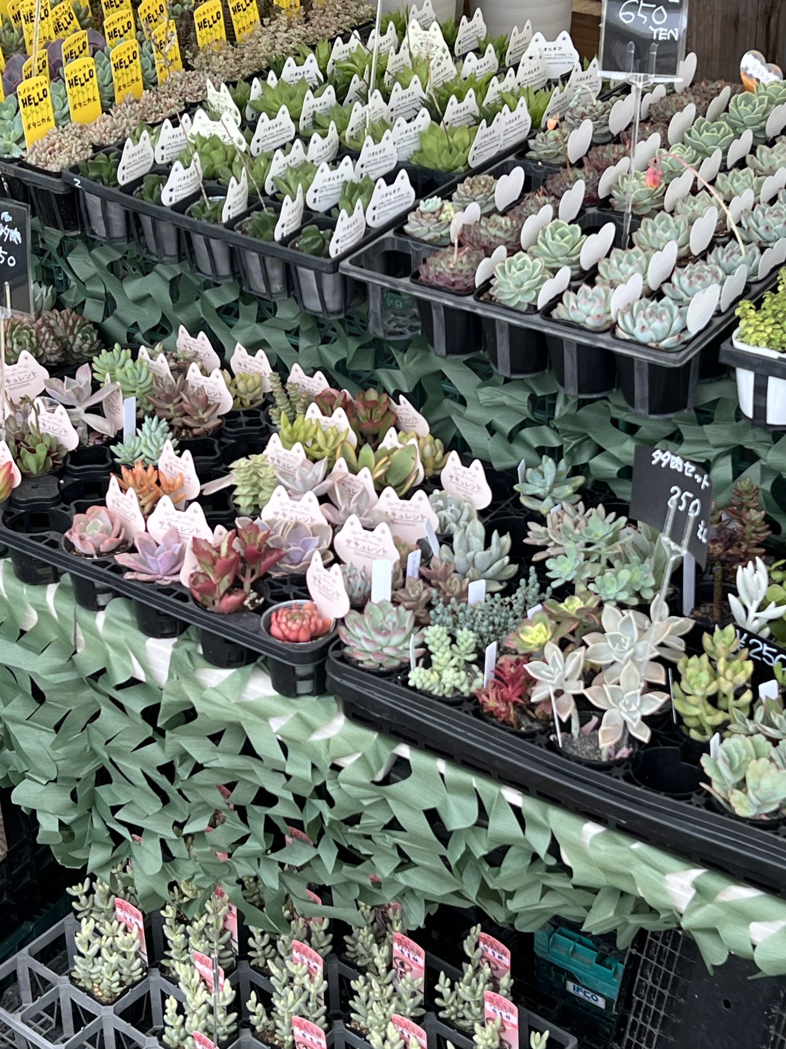 ブース | BOTAFES ボタフェス